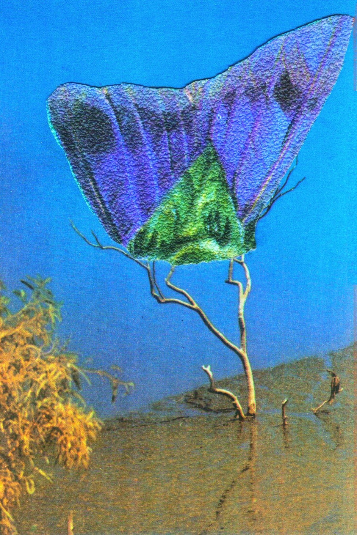 _EiEiEi_ Raupe zu Schmetterling